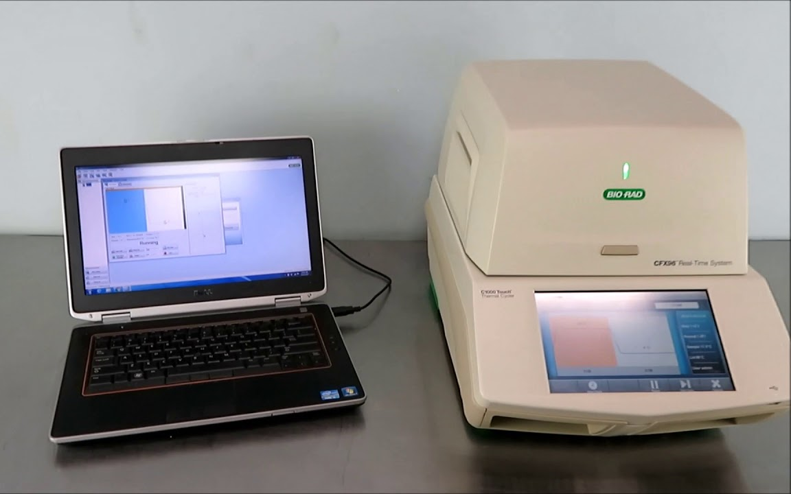 BioRad CFX96 Touch Real Time PCR