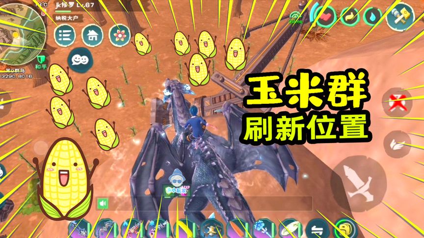 创造与魔法:玉米刷新位置哪,在哪里分布最多,采集群地点教程