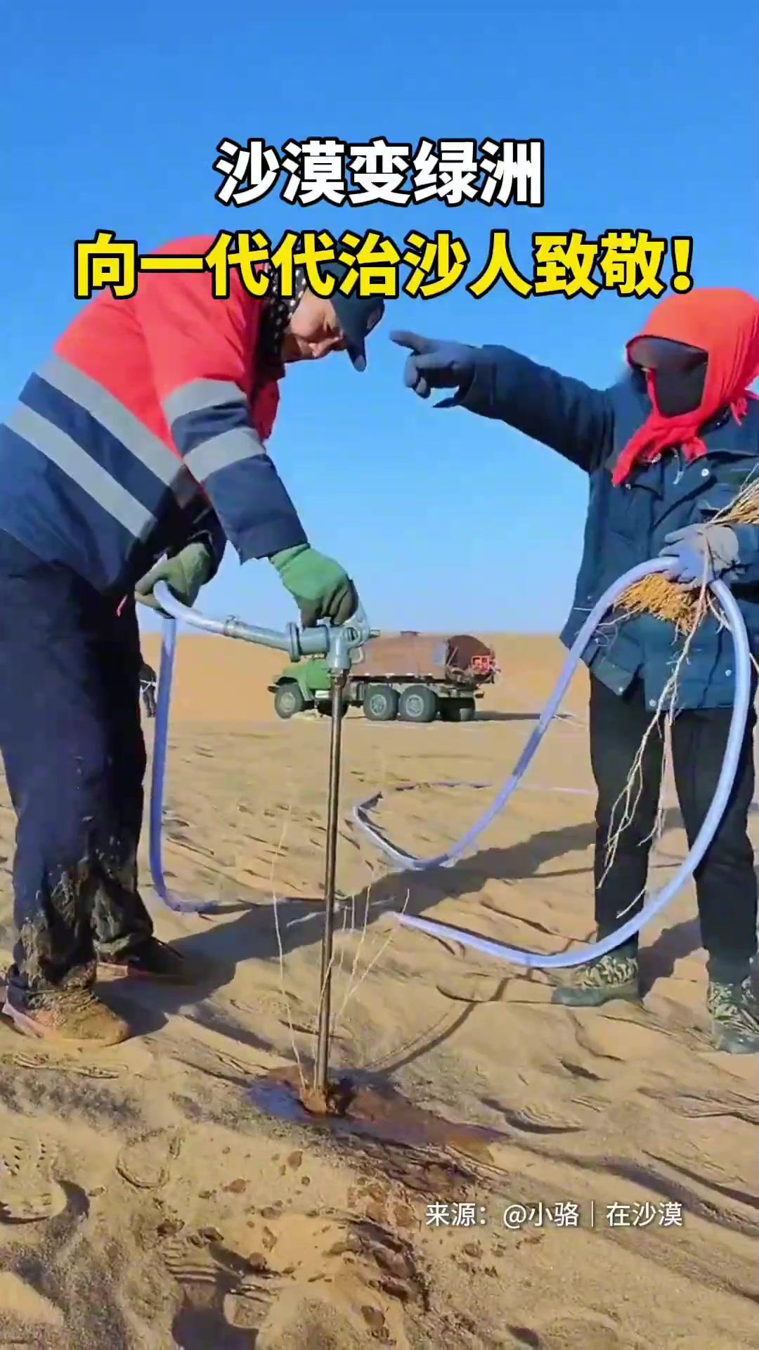 沙漠变绿洲,向一代代治沙人致敬!
