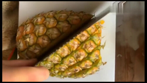 广西农村小哥教你凤梨的正确吃法,不削皮,不挖眼,不浪费一点果肉!
