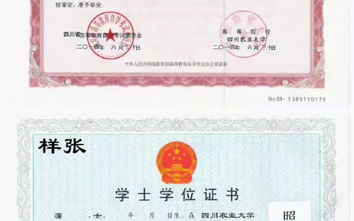 四川农业大学小自考报考指南,四川农业大学1+X自考介绍,四川小自考...
