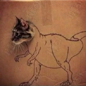 我叫啊泽跟我念 