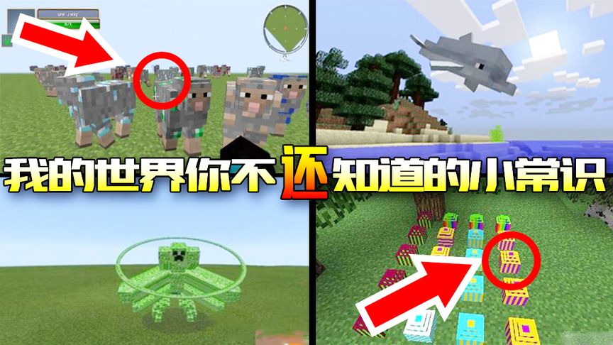 我的世界:十二个你可能不知道的小常识,论如何隐藏自己的ID?