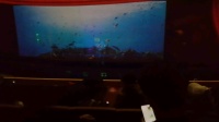 上海海昌海洋公园—海狮表演