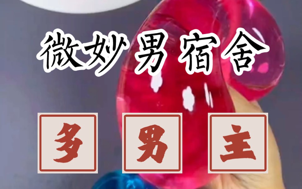 ...我是个肤白貌美大长腿的小弱鸡。进体校后,我打开了新世界的大门…