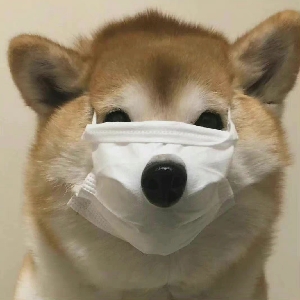 MeriTOuY 