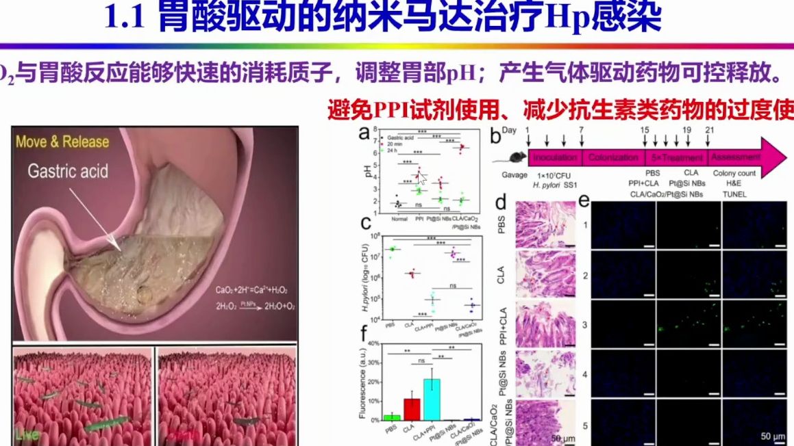 20240403-华中农业大学宋智勇-小尺寸,大世界纳米药物与耐药性细菌...