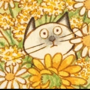 老猫_CAT 