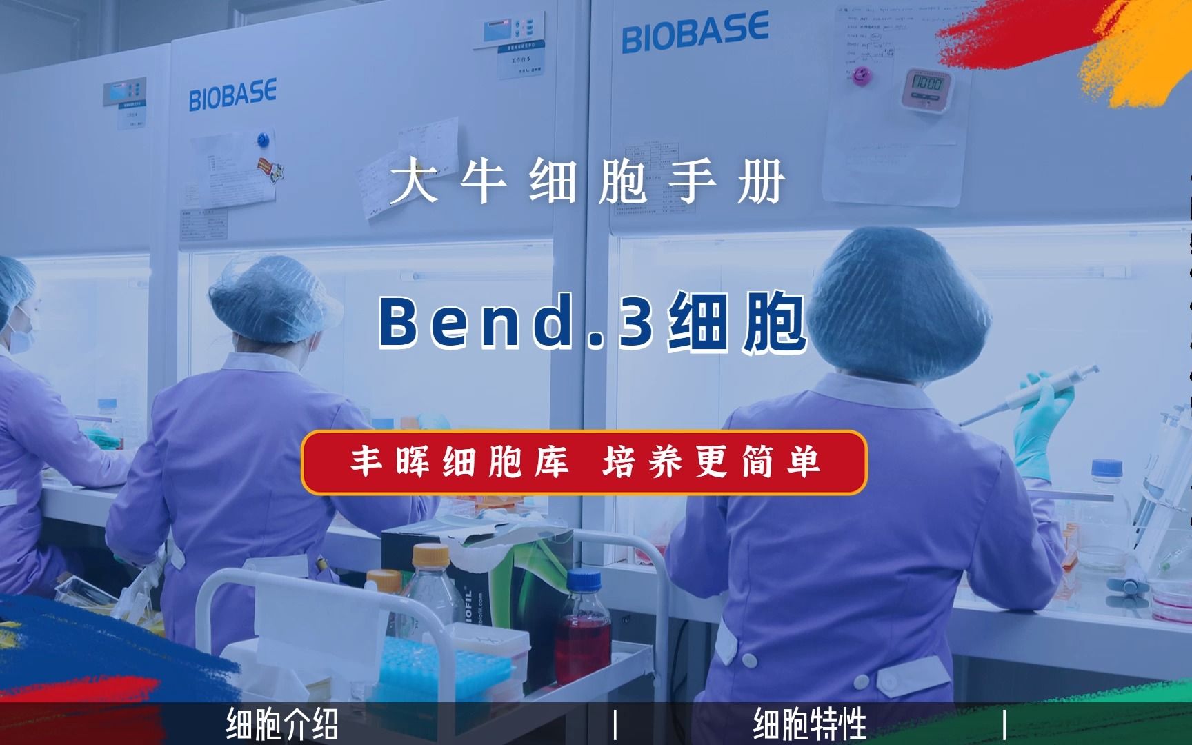 丰晖生物细胞库培养手册:Bend.3细胞培养,小鼠脑微血管内皮细胞培养...