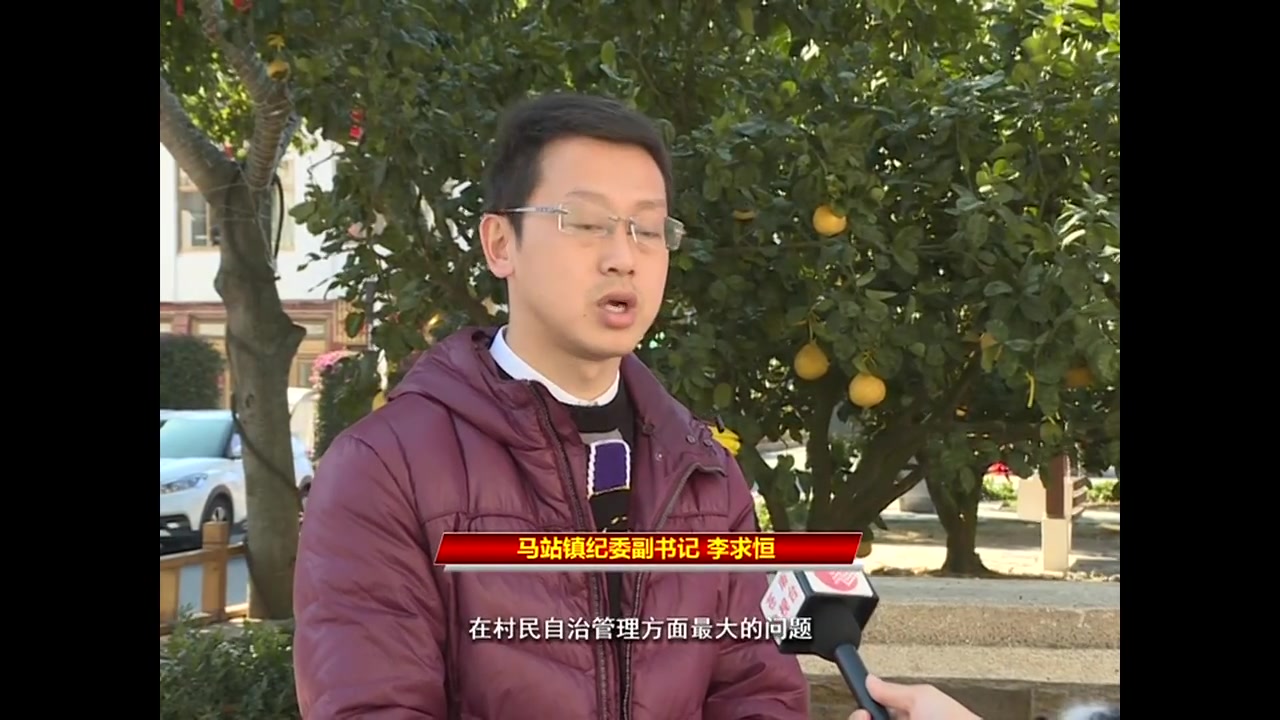 苍南:数字赋能推动村级监督迈向“指尖”时代