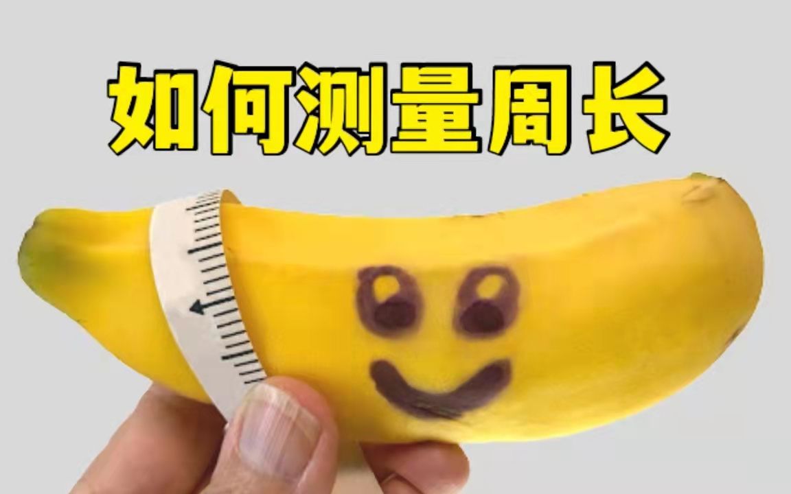 【脸红小课堂】如何测量周长、平均周长大小及其外观?