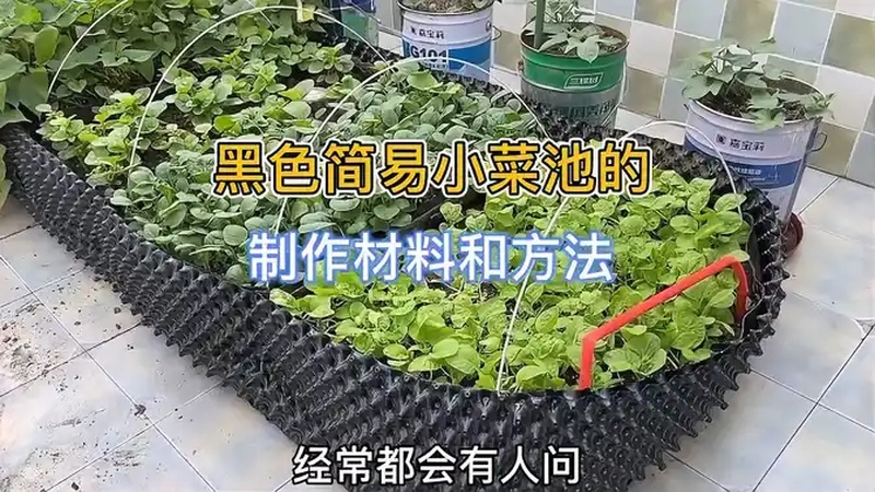 黑色简易小菜池的制作方法 控根器+无纺布种植袋 制作简单成本低