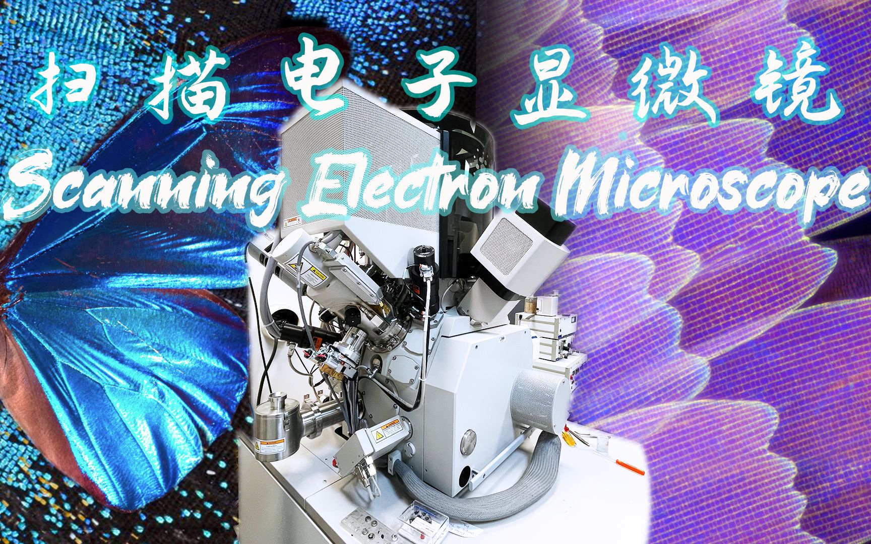 ...科普! 扫描电子显微镜SEM1 微观结构 微米纳米下的世界-大型仪器2