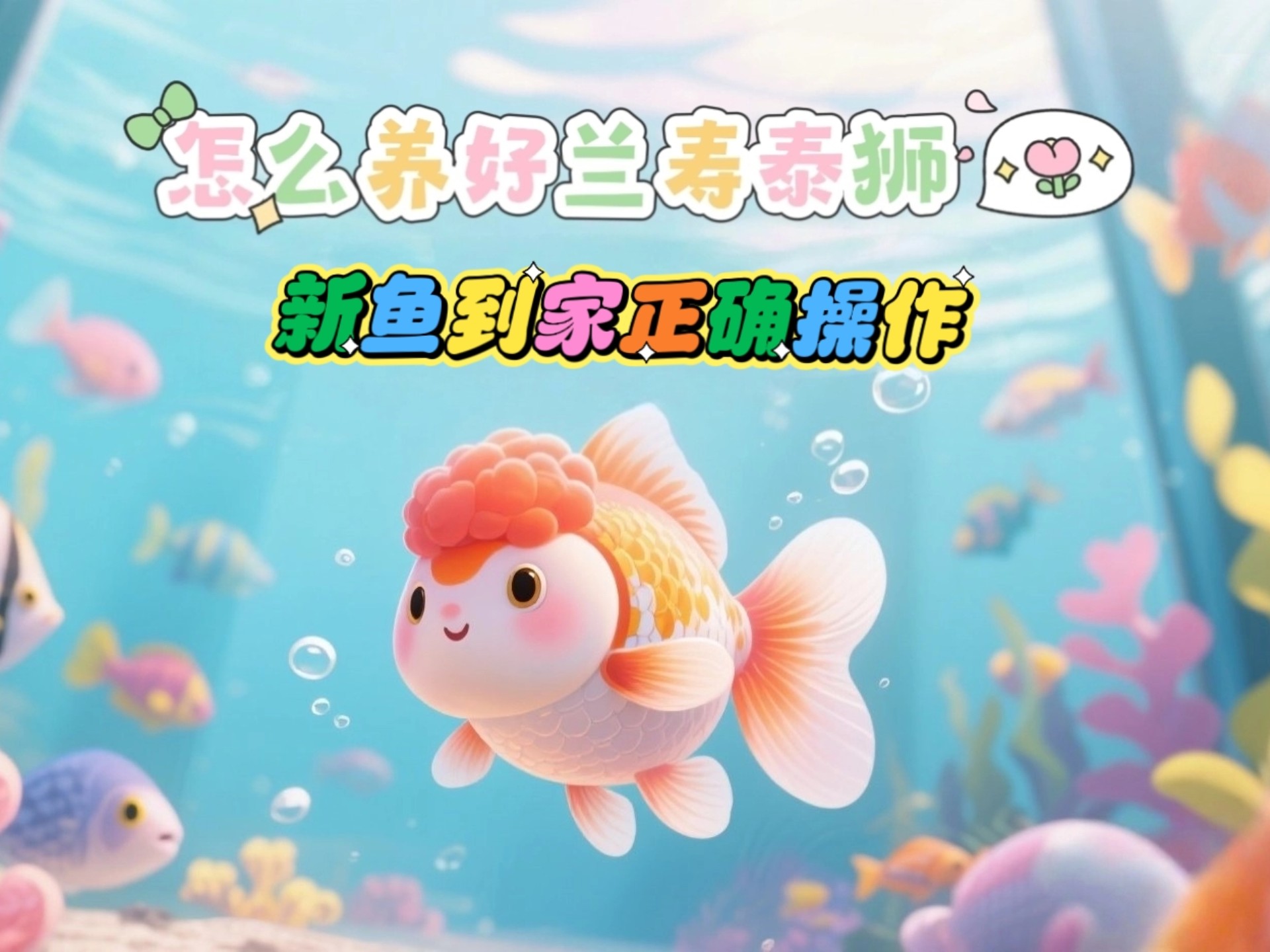 怎么养好泰狮兰寿系列3|新鱼到家正确操作