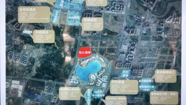 怡心湖唯一观湖住宅怡心湖最低总价怡心湖最好开发商五条地铁线路...