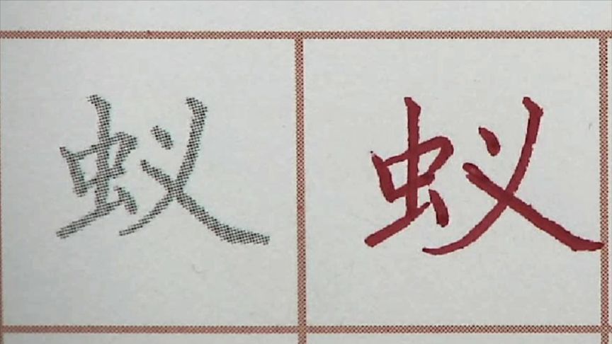 蚂蚁虽小但很勤快的哦,初学硬笔书法每日练字,蚁字笔画书写练习