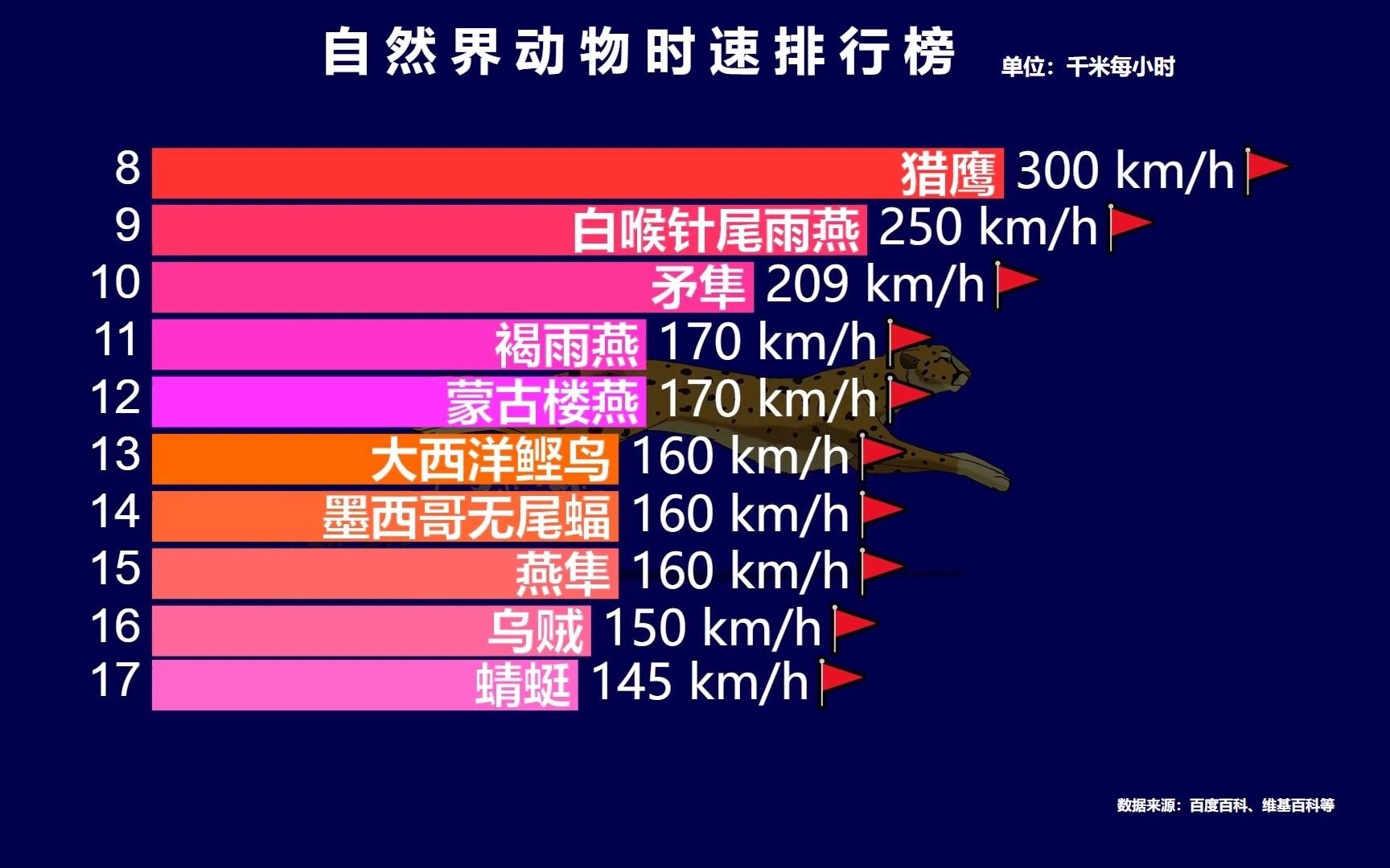自然界动物速度排行榜:人类倒数,猎豹未进前10,猜猜谁才是真正的“...
