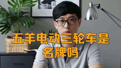 五羊电动三轮车到底算不算名牌?真实口碑大揭秘!