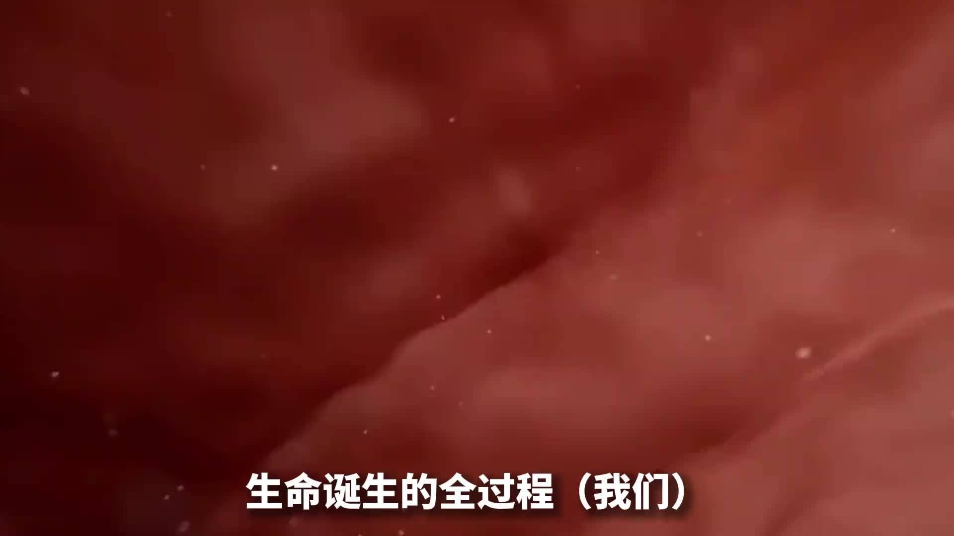 生命诞生得全过程,究竟有多神奇