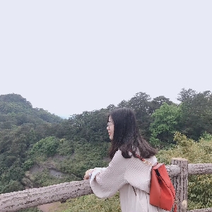 大橙子语文 