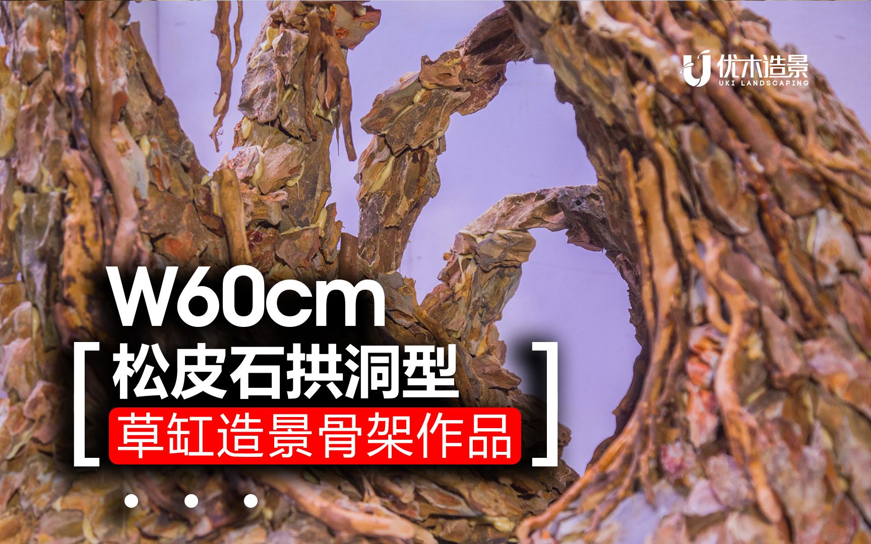 W60cm-松皮石拱洞赛级型草缸造景骨架-[作品]