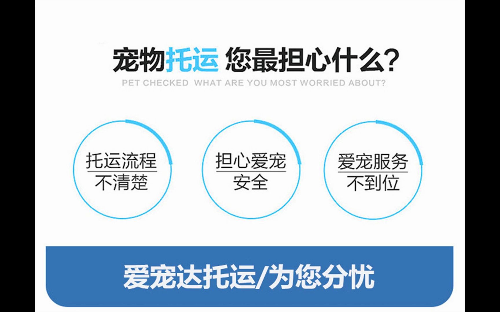 三明正规宠物托运156-8514-4249 宠物火车托运 上门接送
