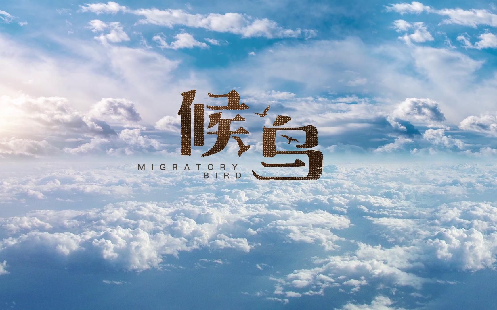 S1169邱诗晗《候鸟》#原唱MV 唯美风景高清视频背景素材#可替换...