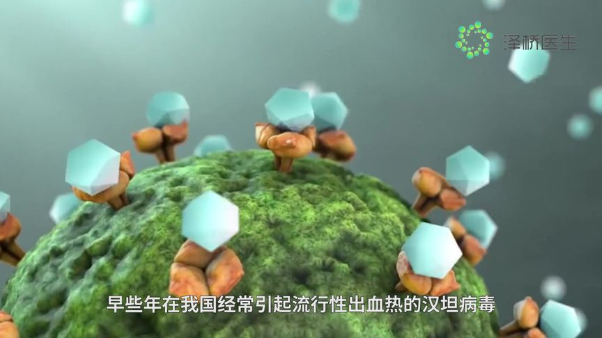 【新冠病毒预防知识】哪些野生动物会携带冠状病毒?