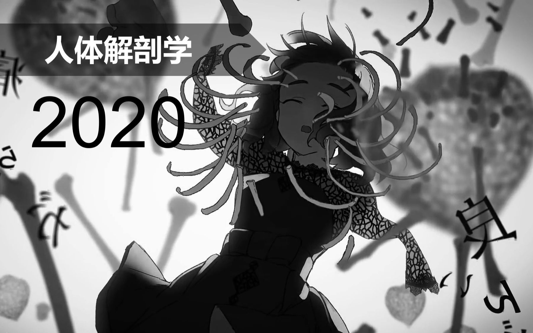 【解剖】人体解剖学:骨骼肌肉与皮肤系统