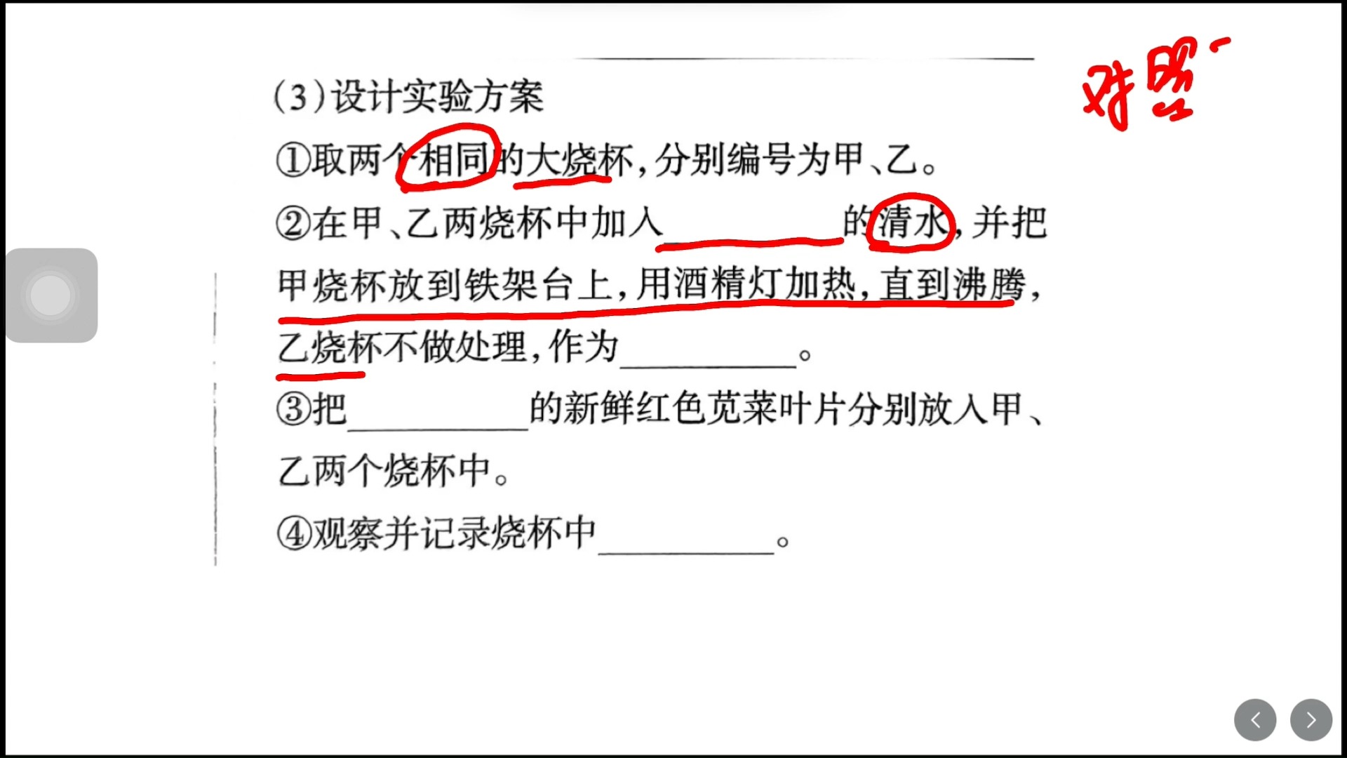 1.1.4 补充及习题 细胞的生命活动 七上生物 冀少版