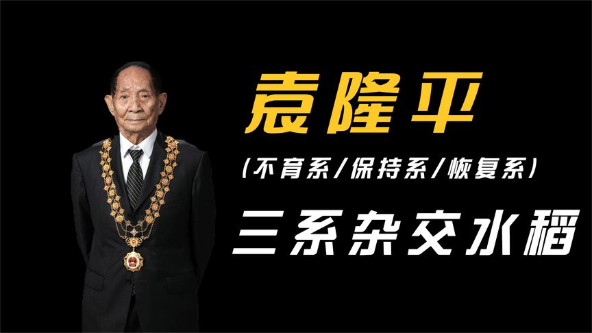 袁爷爷我吃饱了!袁隆平与他的三系杂交水稻的故事