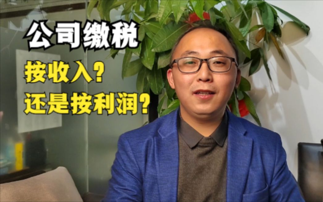 公司缴税是按收入?还是按利润?缴哪些税?