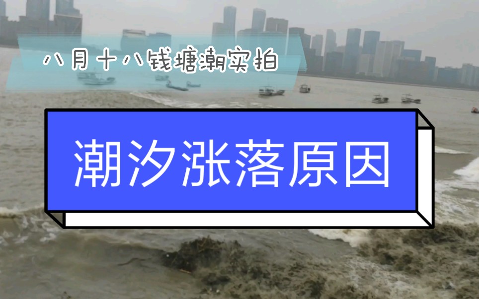 【科普】物理|潮汐涨落成因|八月十八钱塘潮实拍&视频讲解潮汐涨落...