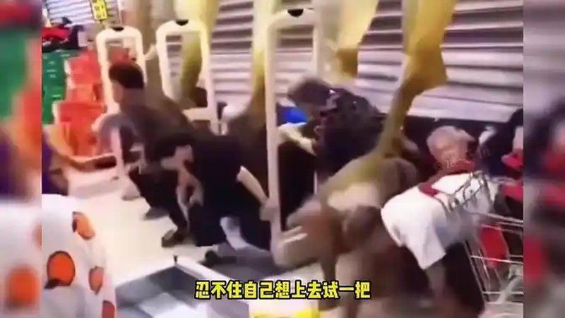 太疯狂了!抢购大队来袭,超市一扫而空,墙都挤塌了!