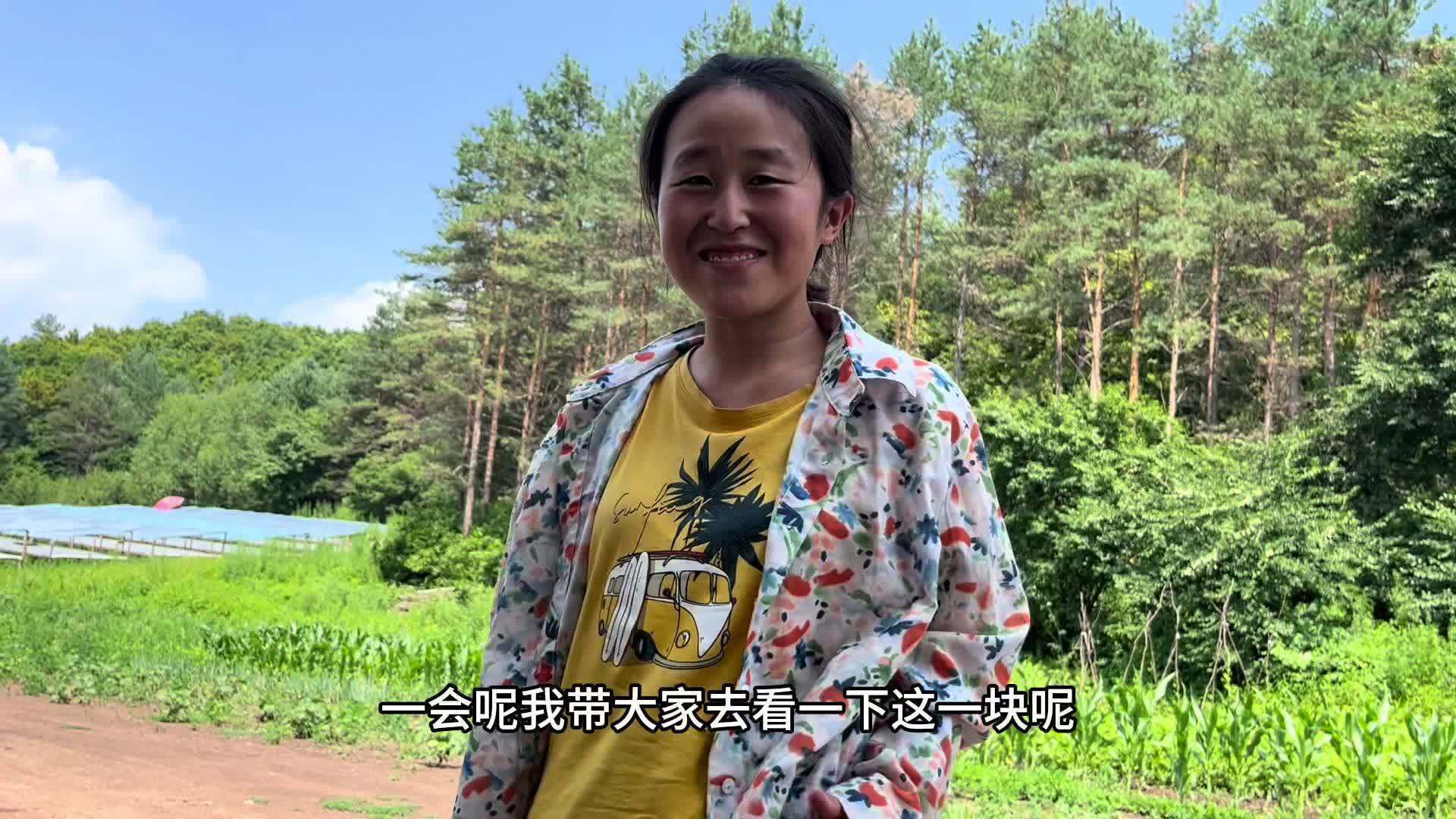 90后姑娘在东北林区养木耳,白天给木耳开顶,晚上做炖菜