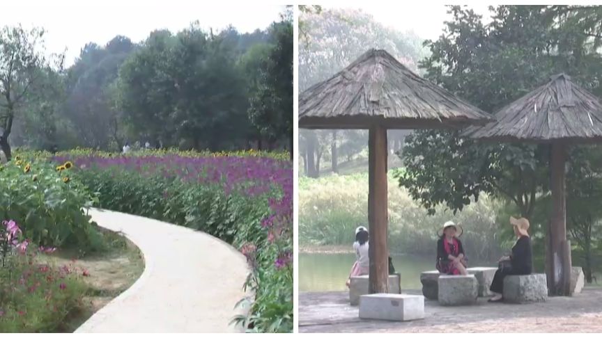 长沙多个公园将有变!提质景观绿化,打造人民满意公园