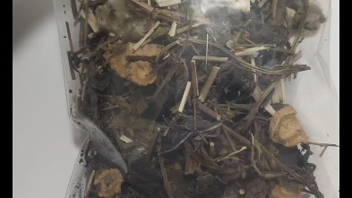 寒症鼻炎:流清鼻涕,打喷嚏