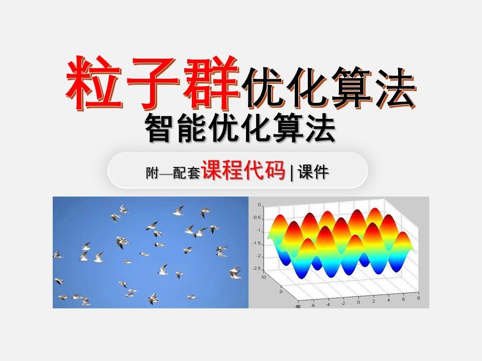 【智能优化算法 粒子群算法】群体智能与粒子群算法(PSO代码实现 | ...