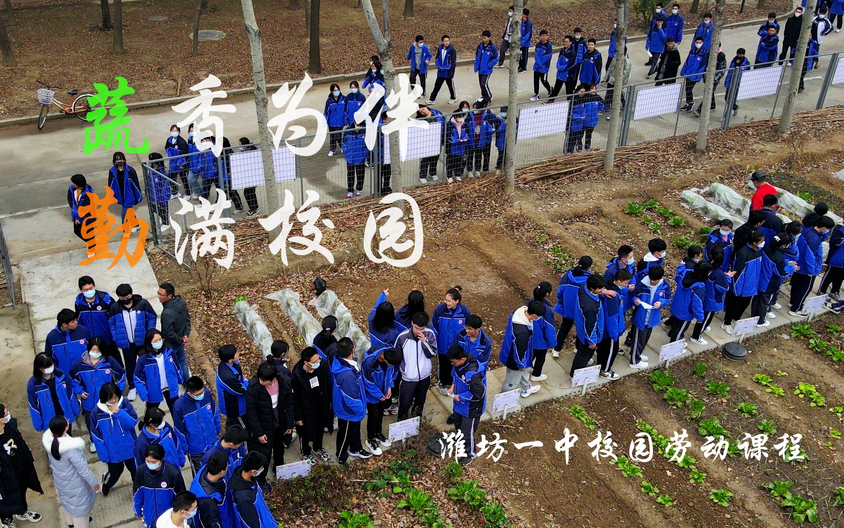 【潍坊一中】校园劳动课程“蔬香为伴,勤满校园”