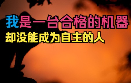 我被培养成了一个执行精密指令的机器,没有思考过自己真正想要做的...