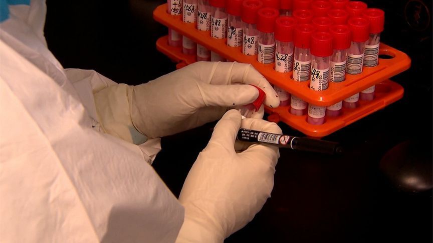 记者探秘:一份核酸检测报告的"诞生"全流程