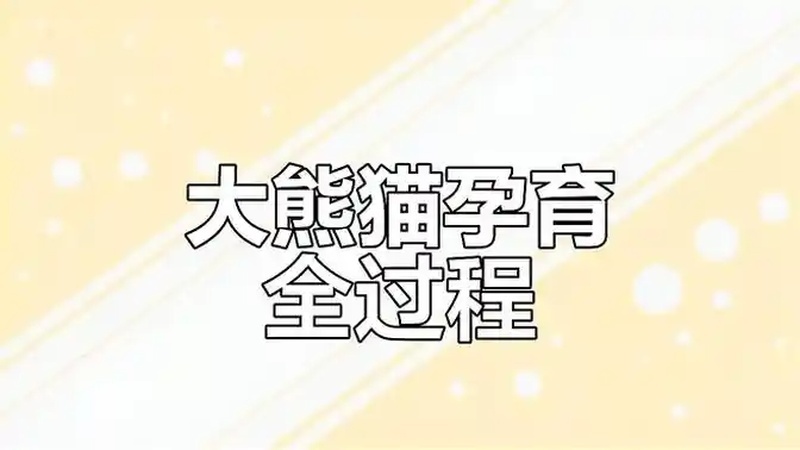 熊猫妈妈的生育过程:从受精卵到幼崽的诞生