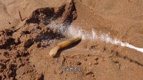 一个R 会是人类"下一代计算平台"吗?