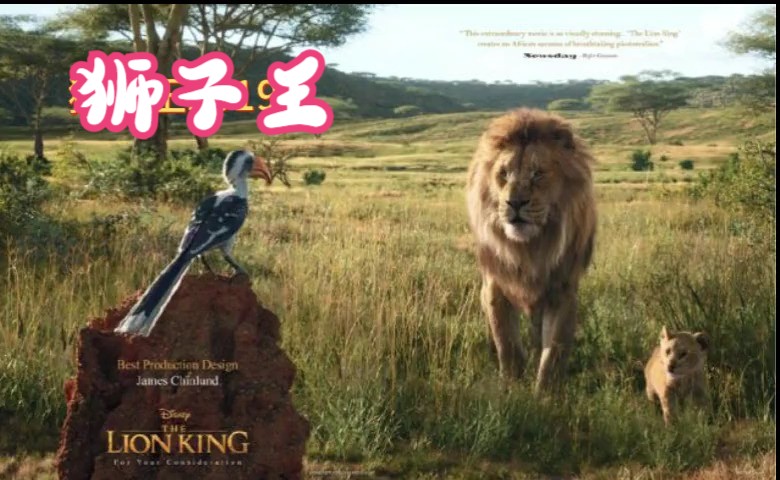 狮子王