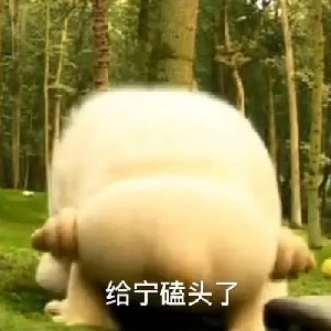 我崽丢了 