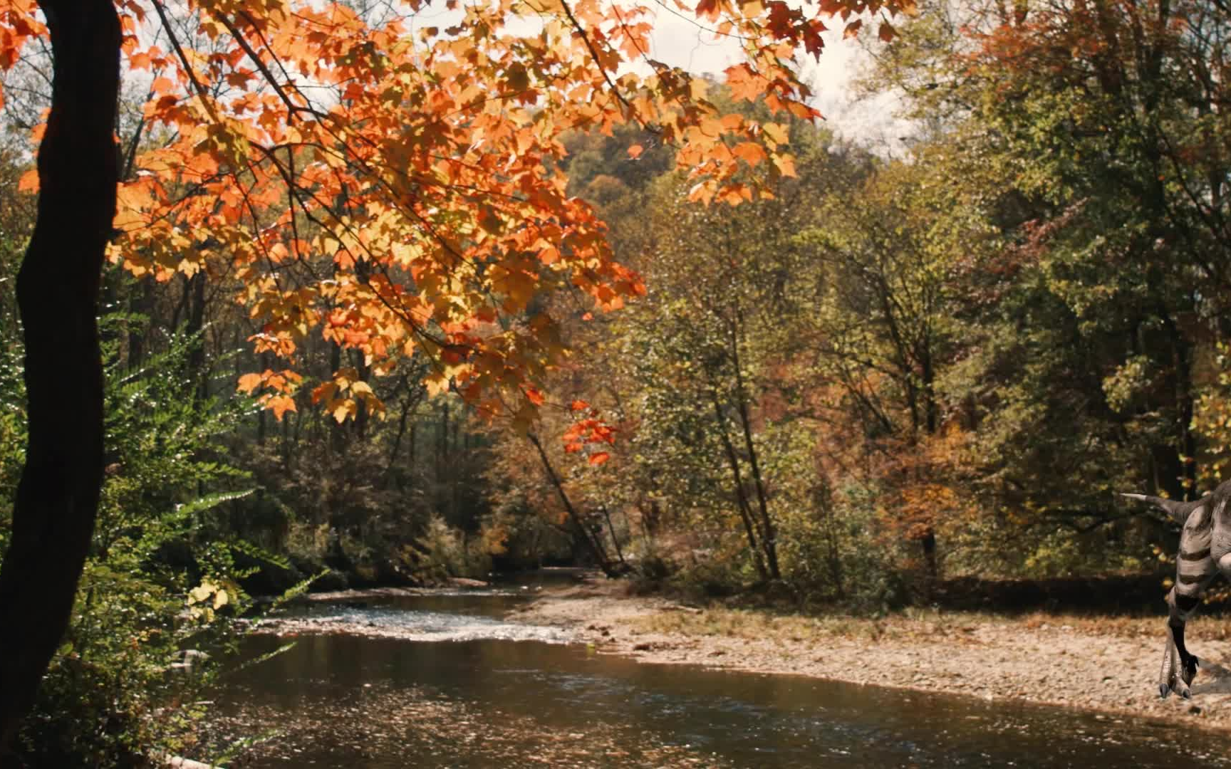 AE每日练习:绿幕抠像和画面扩展
