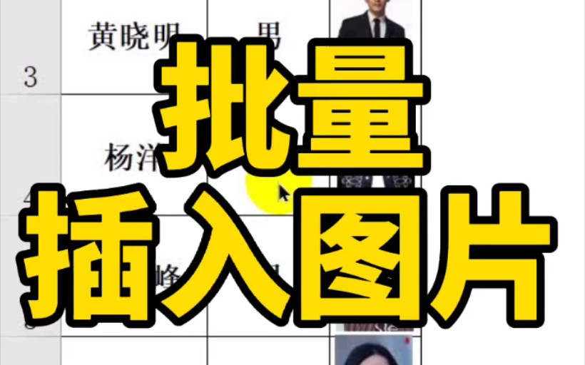 Excel批量插入图片