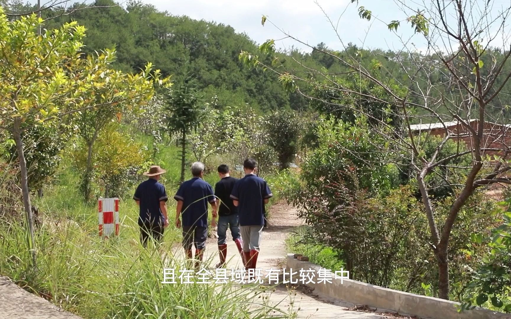 官庄花猪濒临灭绝,保种迫在眉睫 | 绿会保护地