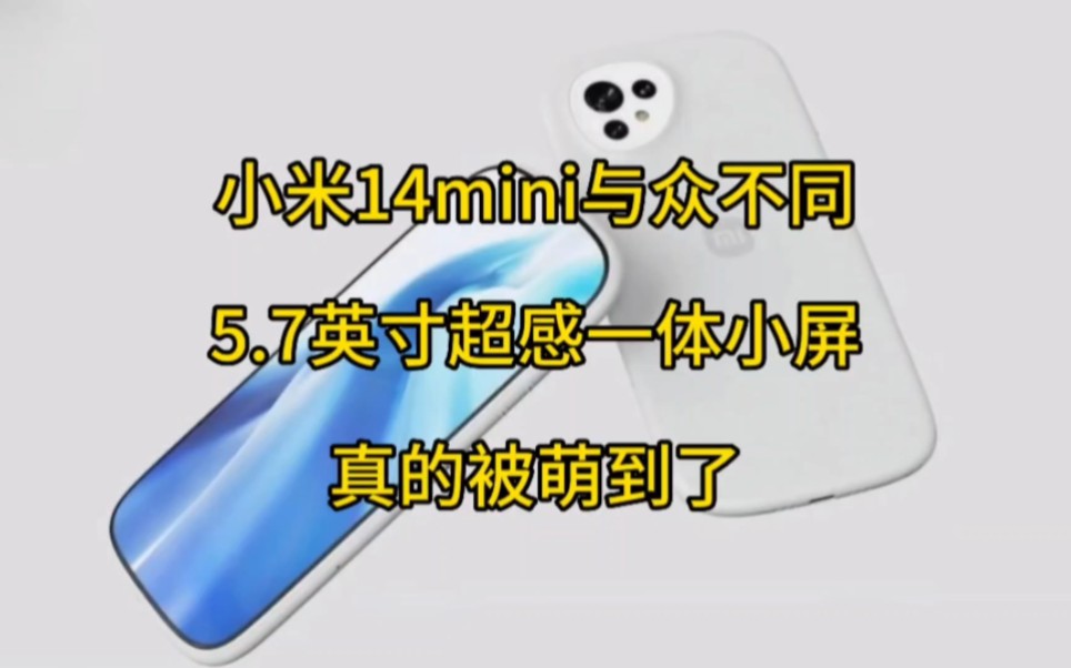 小米14mini与众不同,5.7英寸超感一体小屏,真的被萌到了