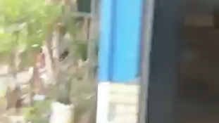 东莞大朗精品独门独院厂房,单一层钢结构厂房
